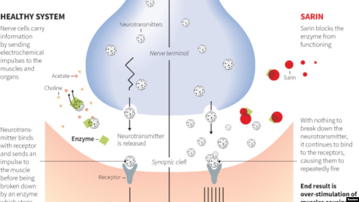 Facts You Should Know about the Chemical Weapon Sarin