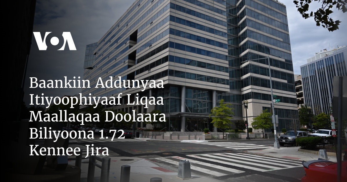 Baankiin Addunyaa Itiyoophiyaaf Liqaa Maallaqaa Doolaara Biliyoona 1.72 ...