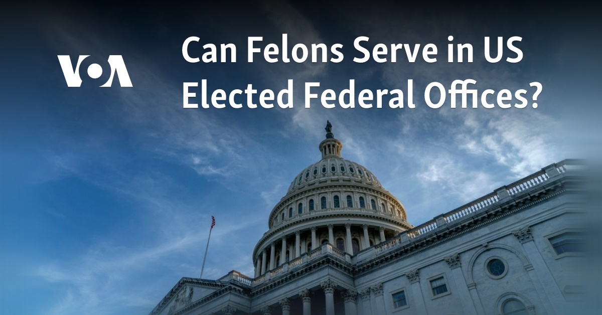 Can Felons Serve in US Elected Federal Offices?