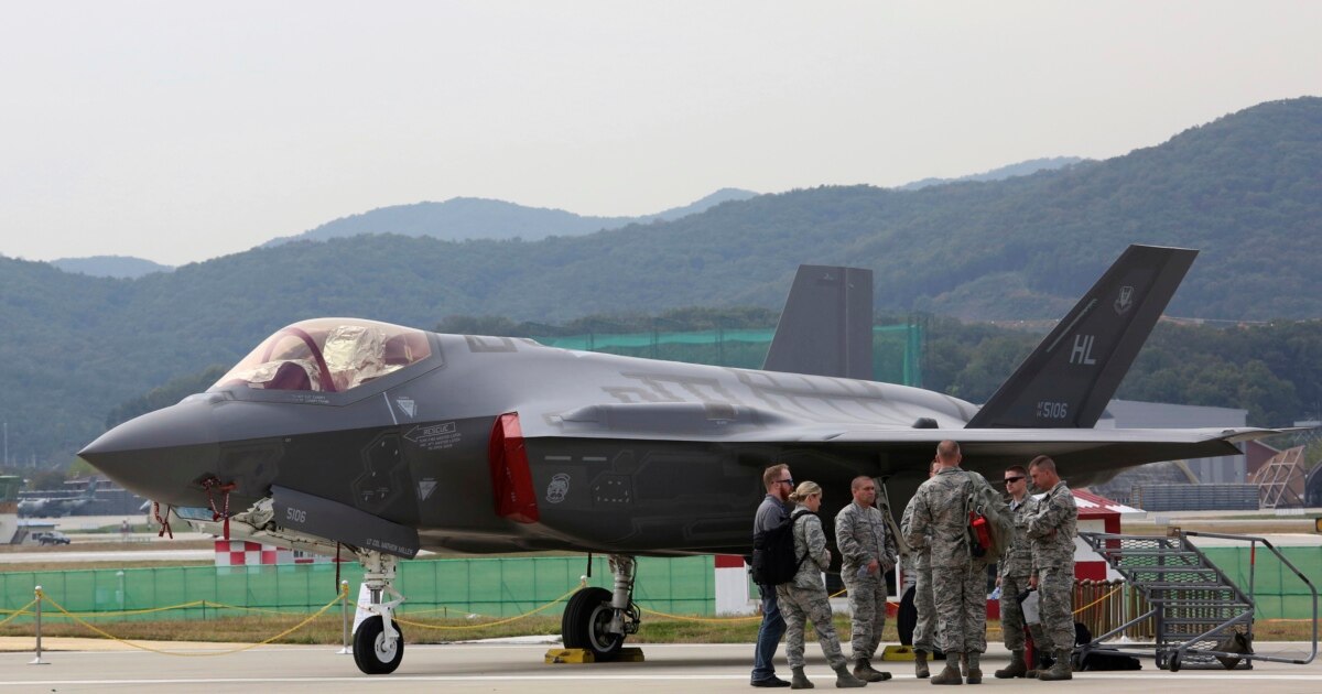 US Stealth Fighter Suffers Millions in Damage from Bird Strike