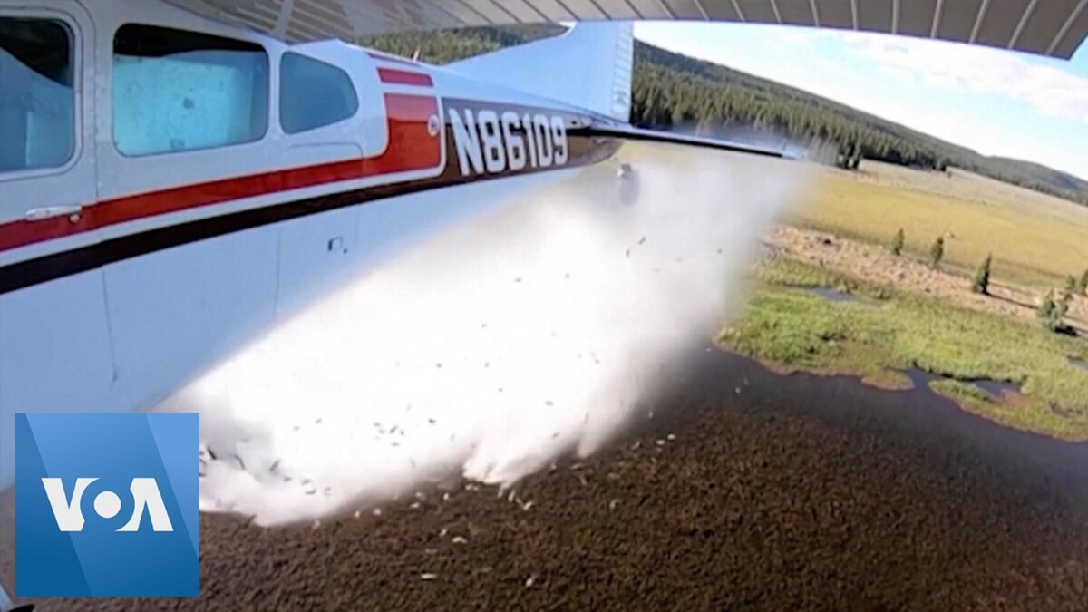 Plane Drops Thousands of Fish in Utah Lakes