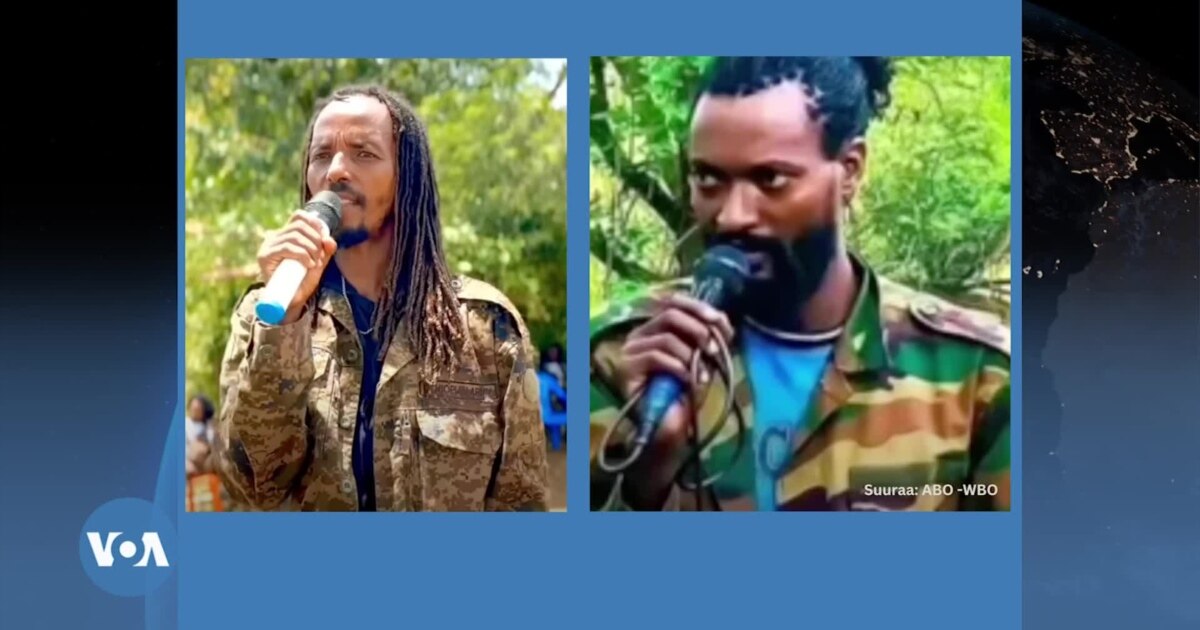 Jaala Sanyii Nagaasaa ABO-WBO Jaal Marroo Yokaan Kumsaa Dirribaan Dursamurraa Adda Bahuu Isaanii ...