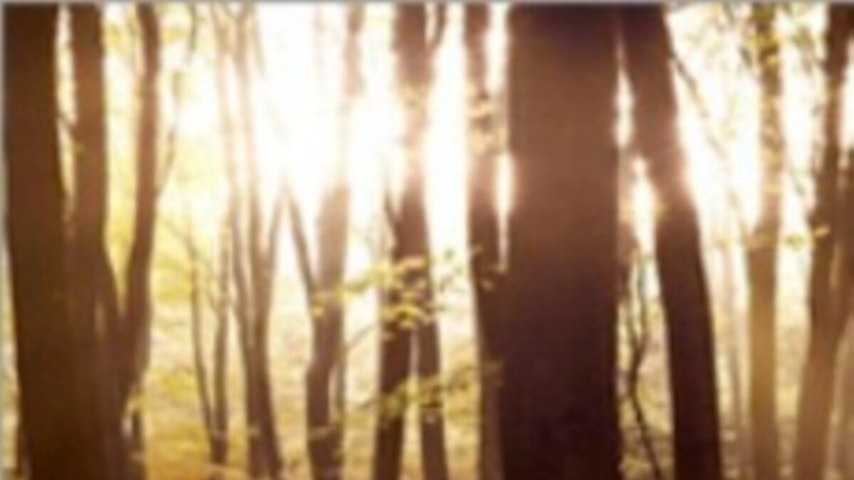 Acclaimed Author Illuminates Genesis of America's Religious Preoccupation