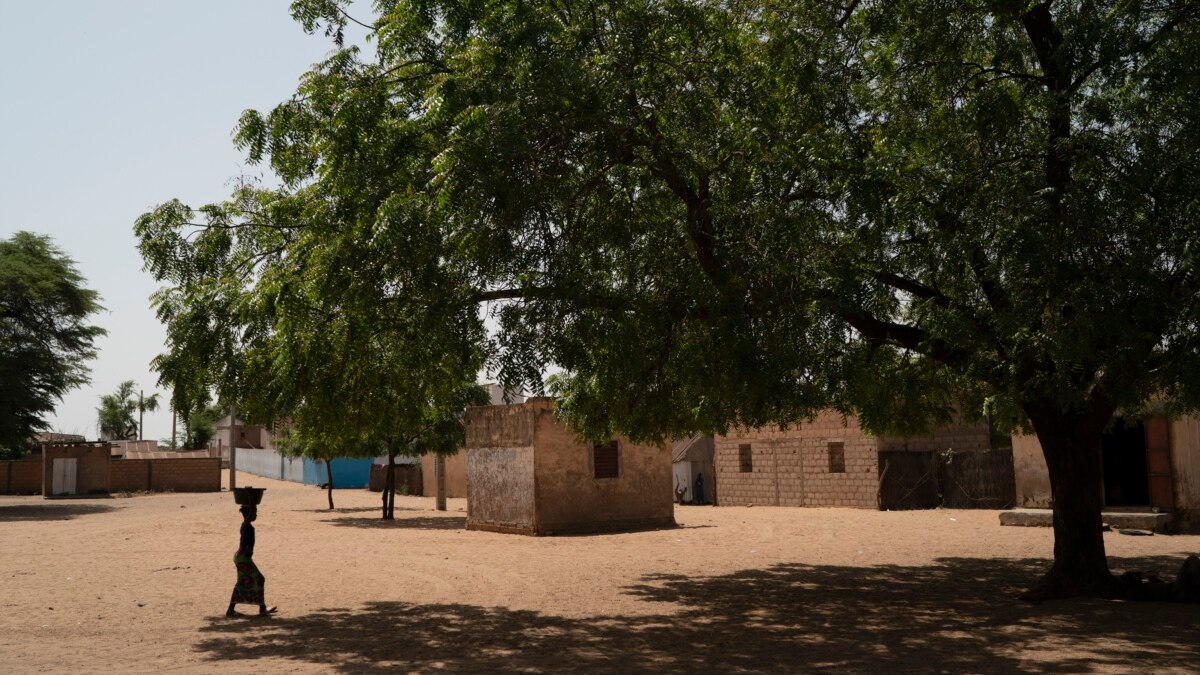 Africa’s ‘Great Green Wall’ Shifts Focus to Contain Sahara