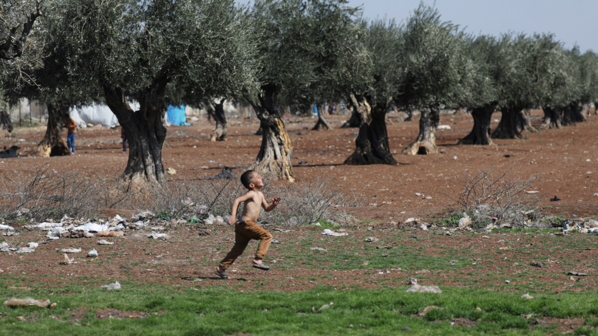 Syrian Kurdish Farmers Accuse Turkey-Backed Militias of Seizing, Taxing ...