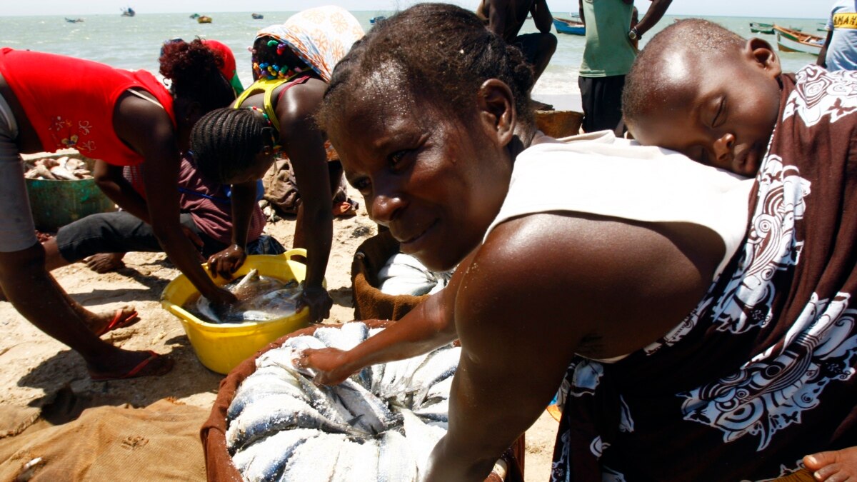 Angola: Analistas dizem que crescimento económico não terá impacto no ...