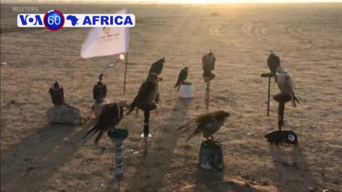 Misiri: Barabumbatira Siporo Ikoreshwamo Sakabaka