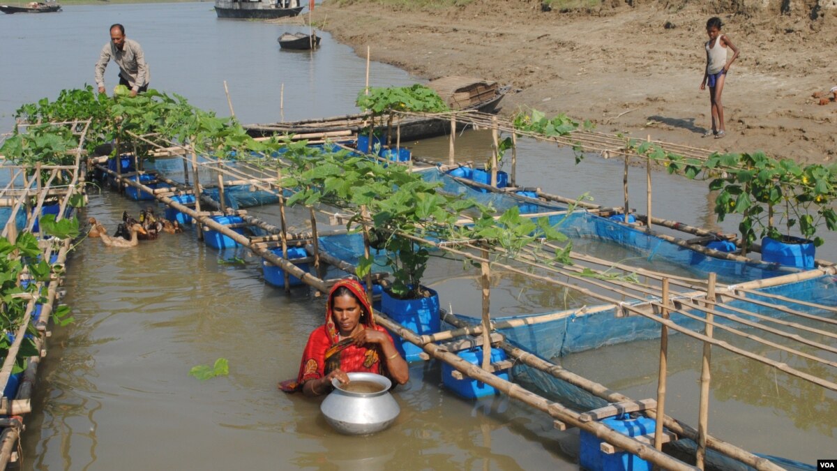 Boosting Agriculture in South and Southeast Asia