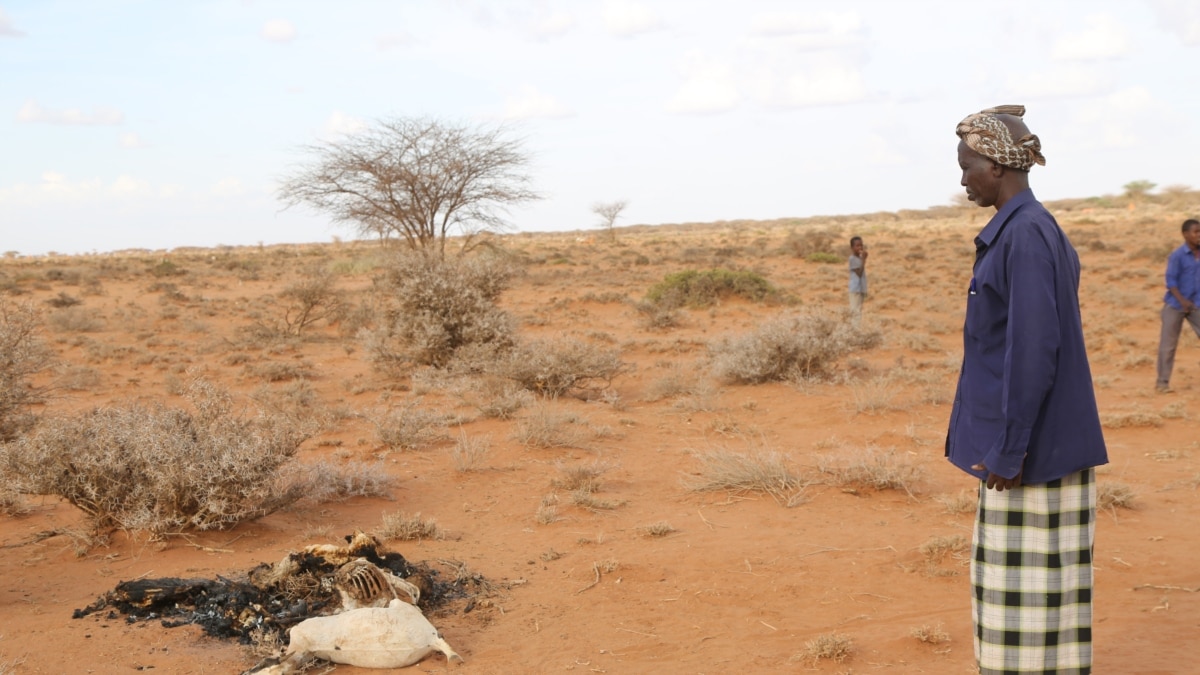 Abaaro daran oo ka jira gobollada Gedo iyo Jubbada Hoose