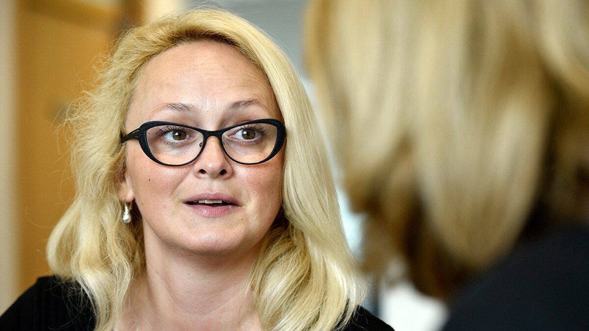 Ramić - Mesihović: Proces evropskih integracija u BiH je zaustavljen