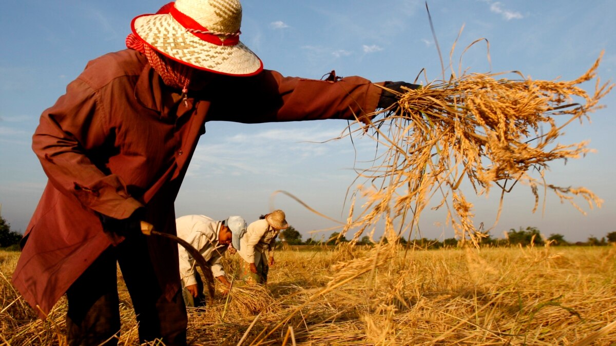 Empowering Women in Cambodia’s Farming Sector