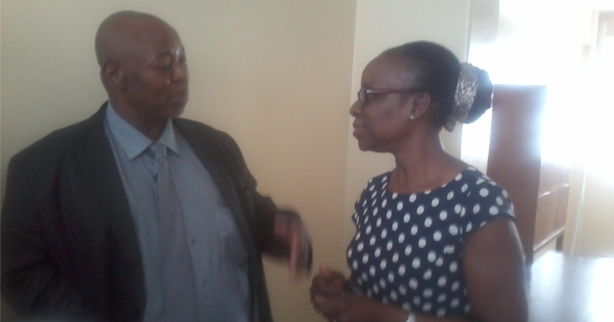 Zimbabwe Officials, NGOs Lobby for More Health Resources in 2016 Budget