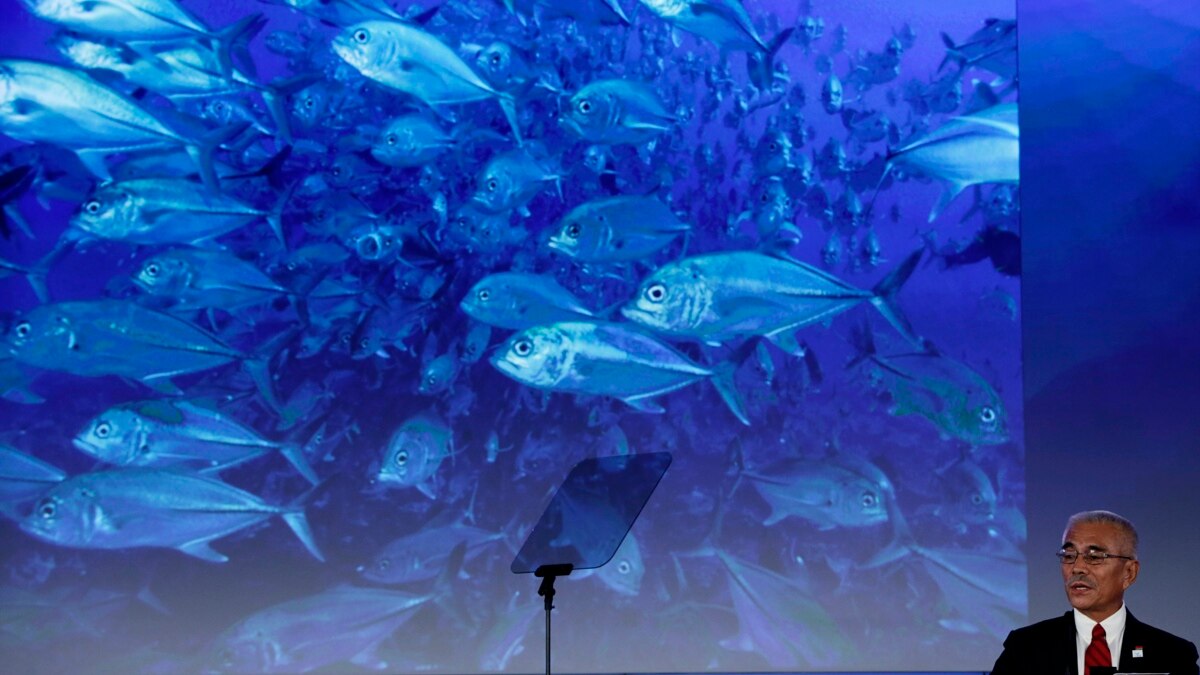 US Proposal Would Create World's Largest Marine Sanctuary