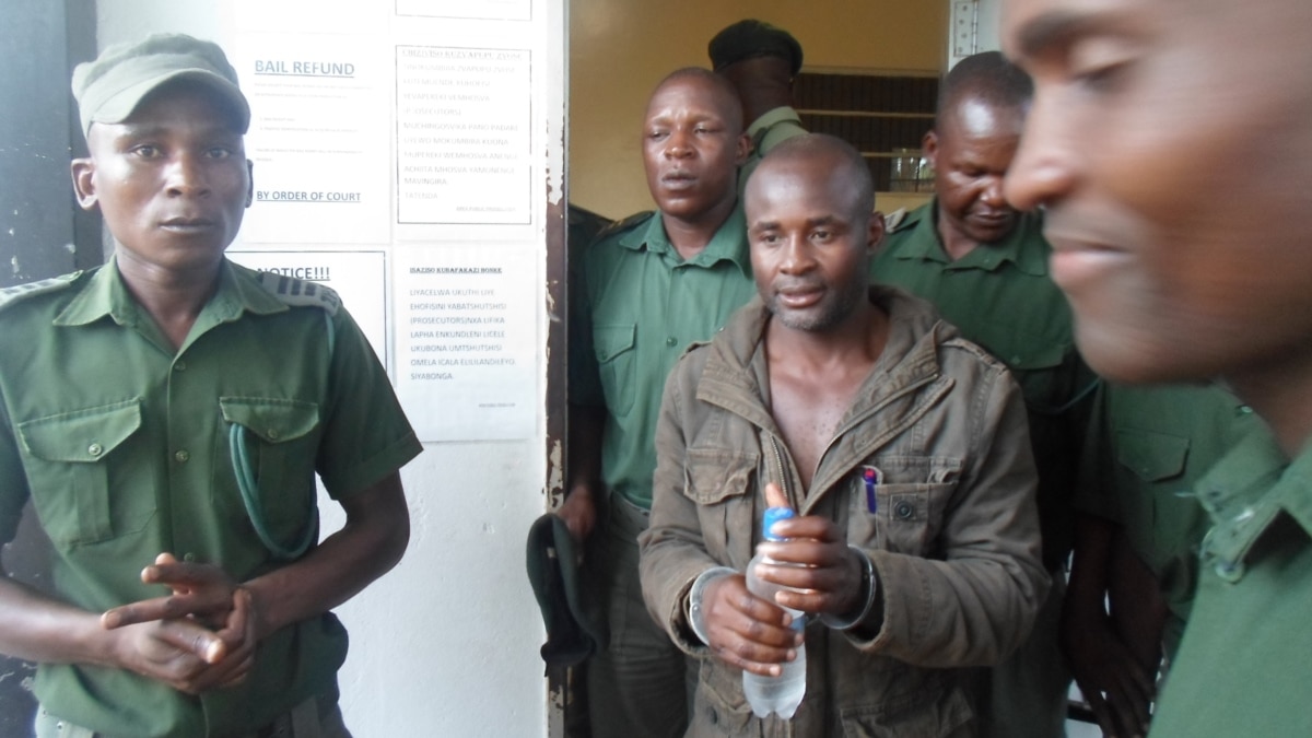 Temba Mliswa: Ousted VP Mujuru Too Silent, Has Abandoned Expelled Zanu ...