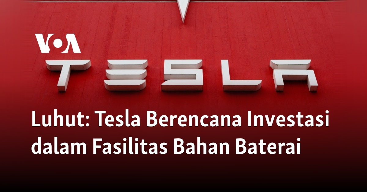 Luhut: Tesla Berencana Investasi dalam Fasilitas Bahan Baterai