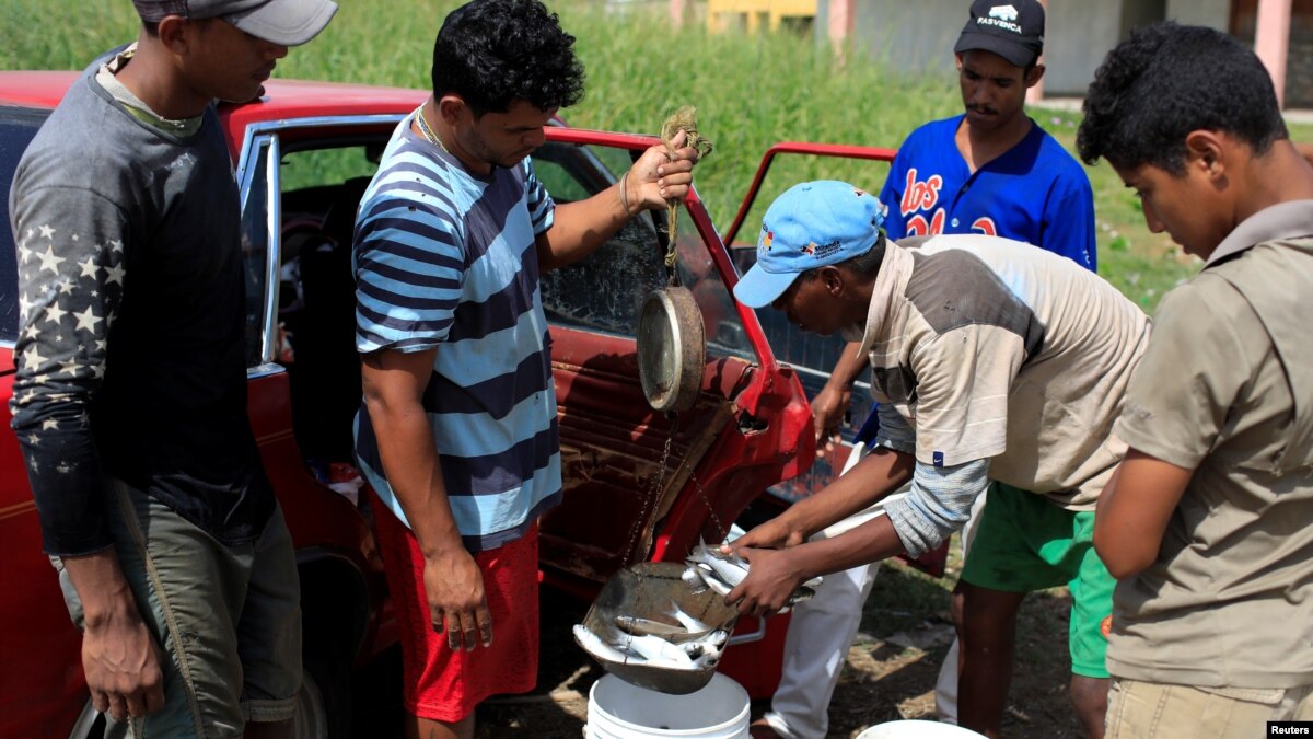 Venezuela Facing 'Economic Collapse,' IMF Warns