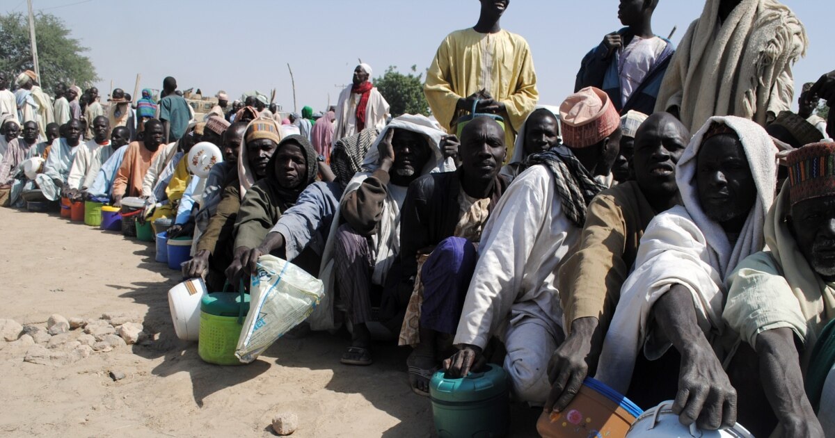 MSF Reports Humanitarian Catastrophe in Nigeria's Borno State