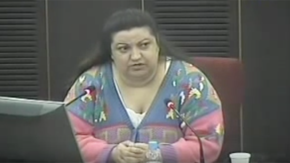 Sudac ukinuo američko državljanstvo Rasemi Handanović