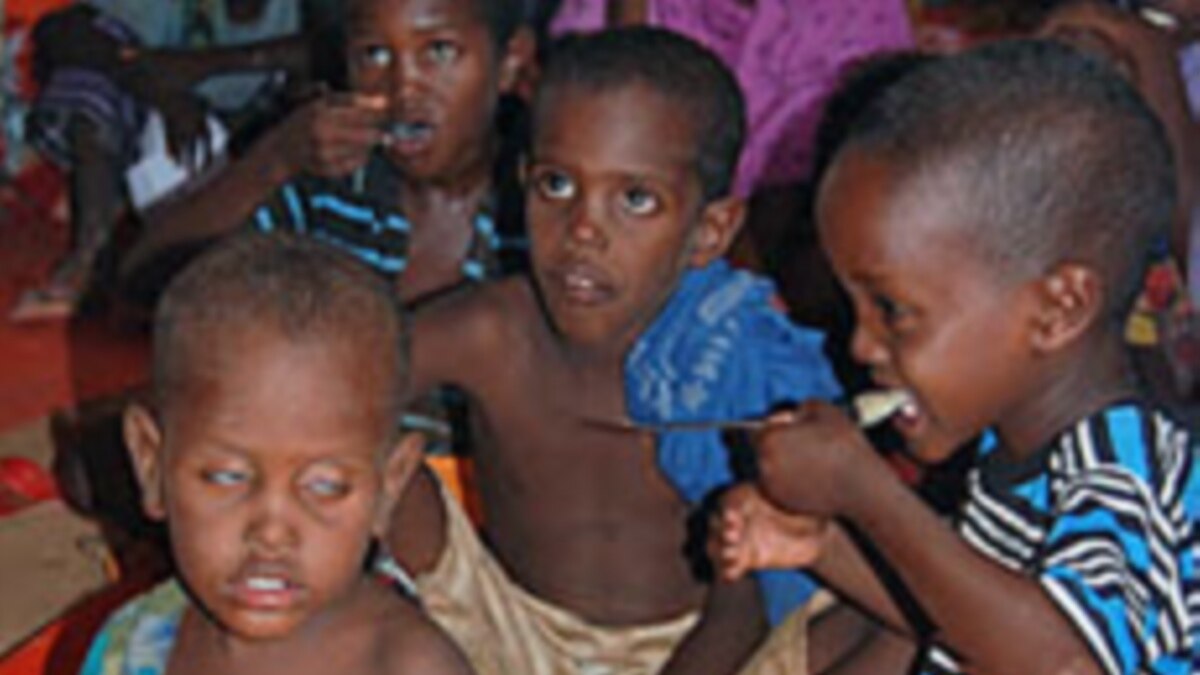 Ethiopia Recruits Health 'Army' to Combat Child Mortality, Malnutrition