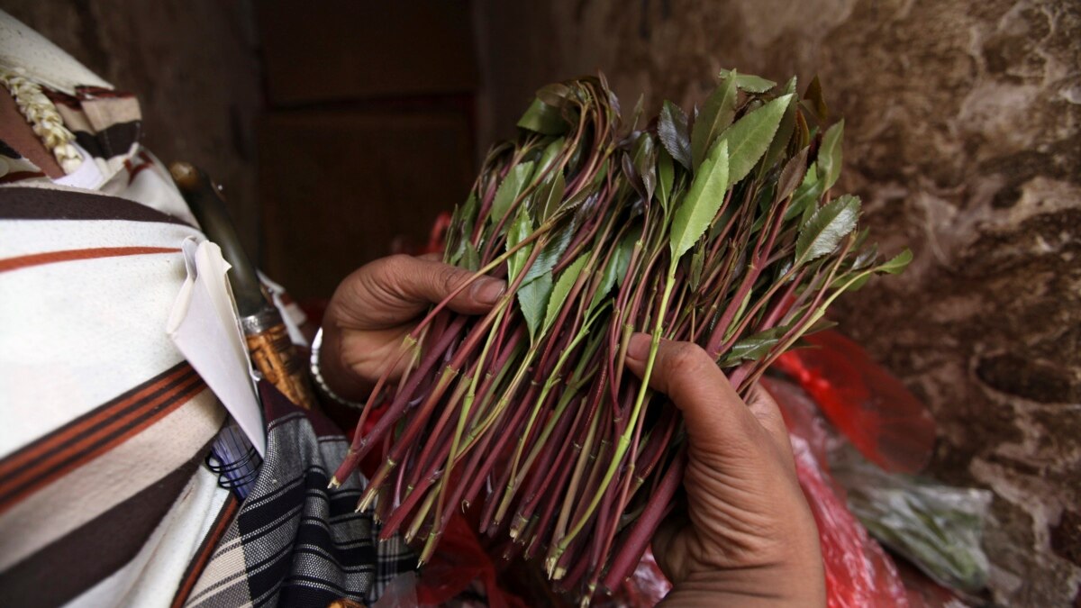 Daldalli Caatii Dirree Dhawaa Keessaa Itti Fufe