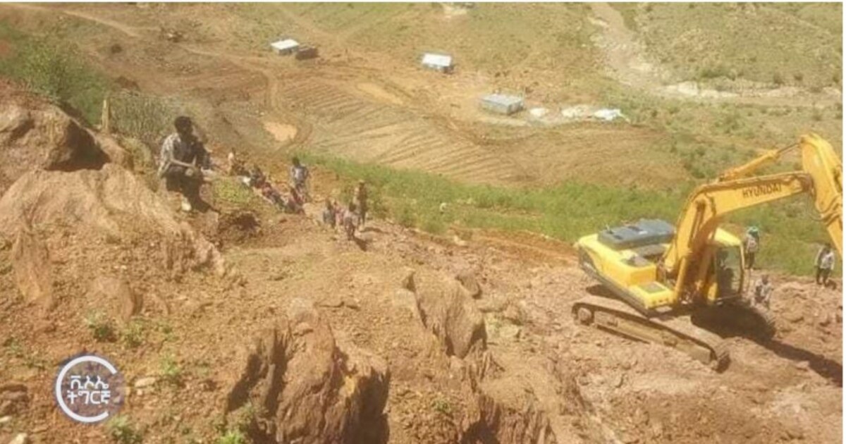 Naannoo Tigiraayitti Hojii Albuuda Baasuu Dhaabbatee Qoraannaan Akka ...