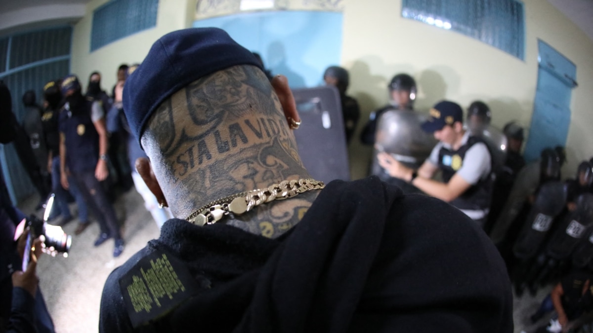 ¿Cuál es el poder de las pandillas en Guatemala y qué planea el ...