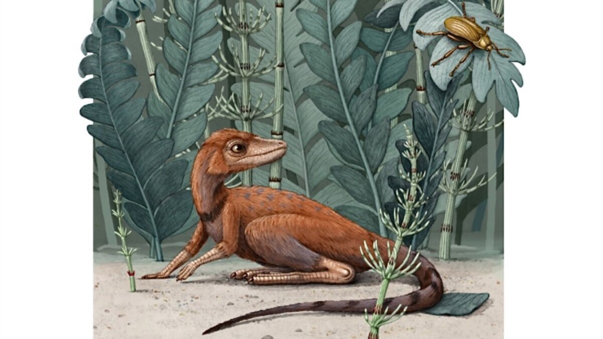 Study Suggests Dinosaurs May have Started as Very Small Creatures
