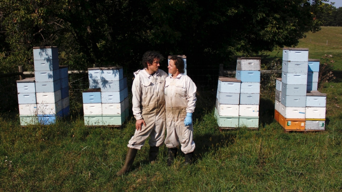 Husband, Wife Beekeepers Start Business During Pandemic