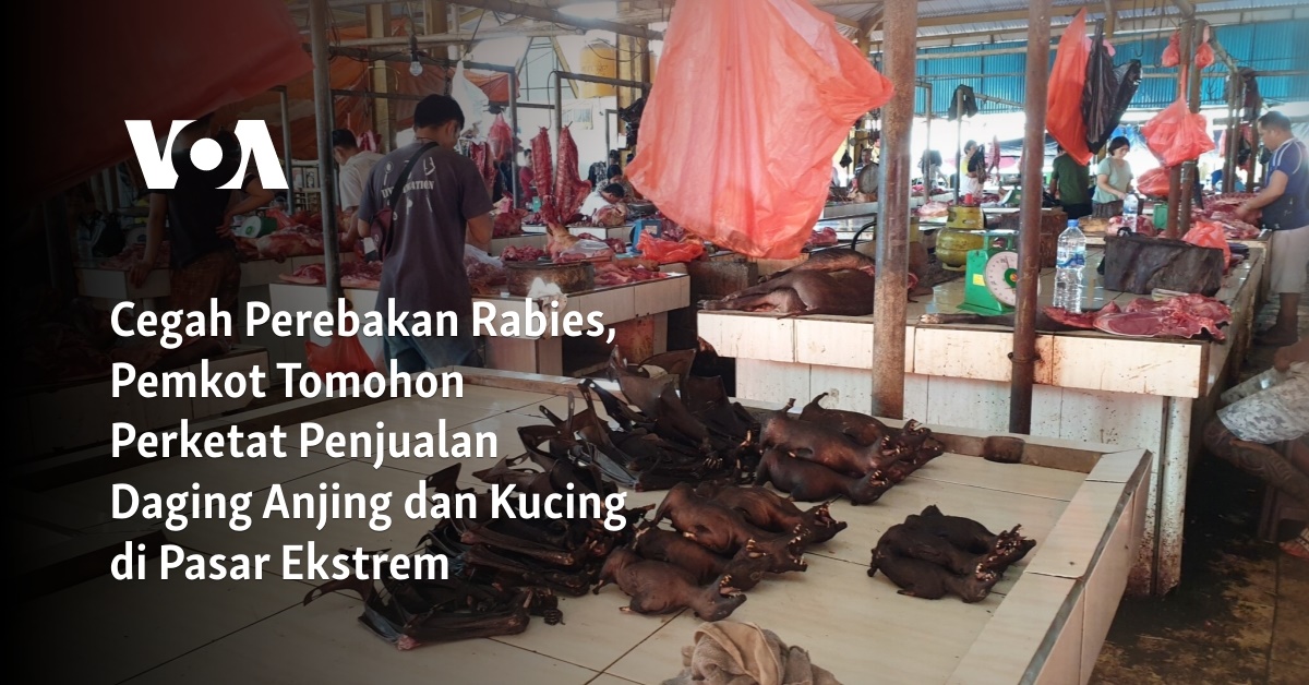 Cegah Perebakan Rabies, Pemkot Tomohon Perketat Penjualan Daging Anjing ...