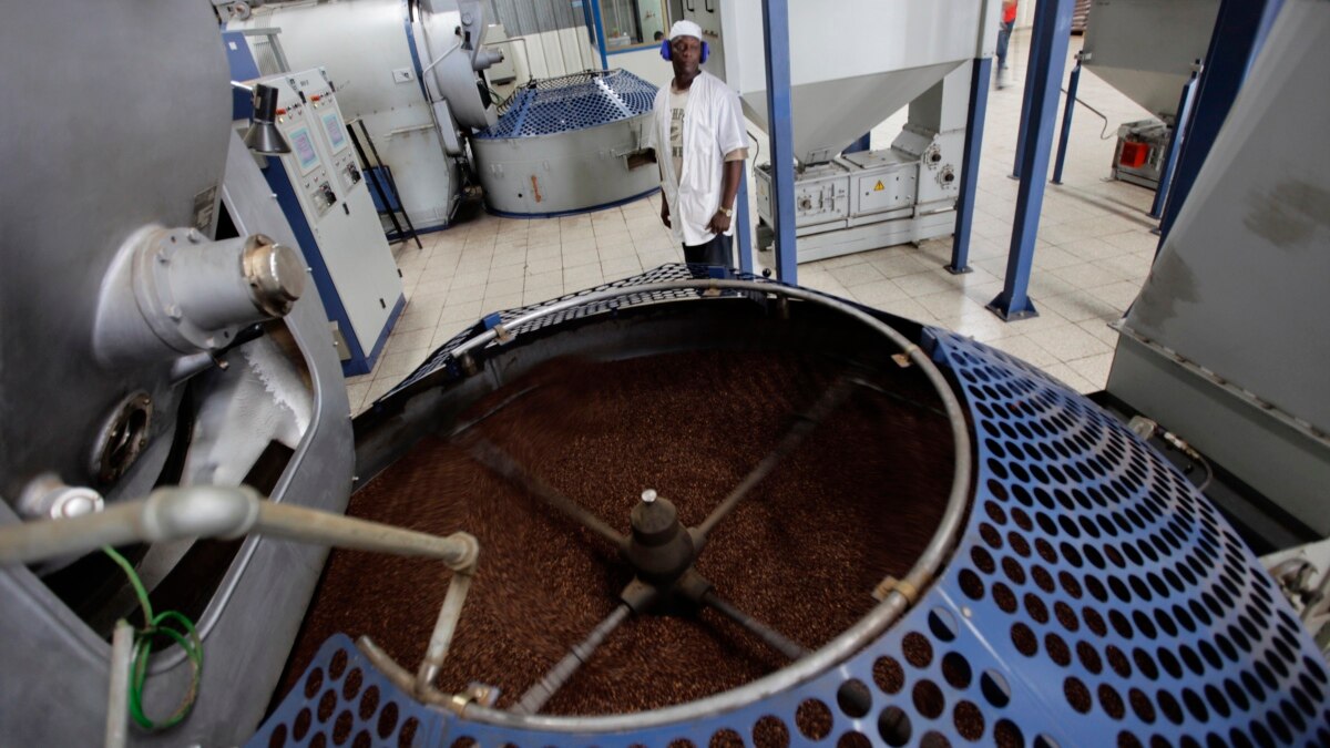 Cuban Coffee Returning to US, But Only for Nespresso Brewers