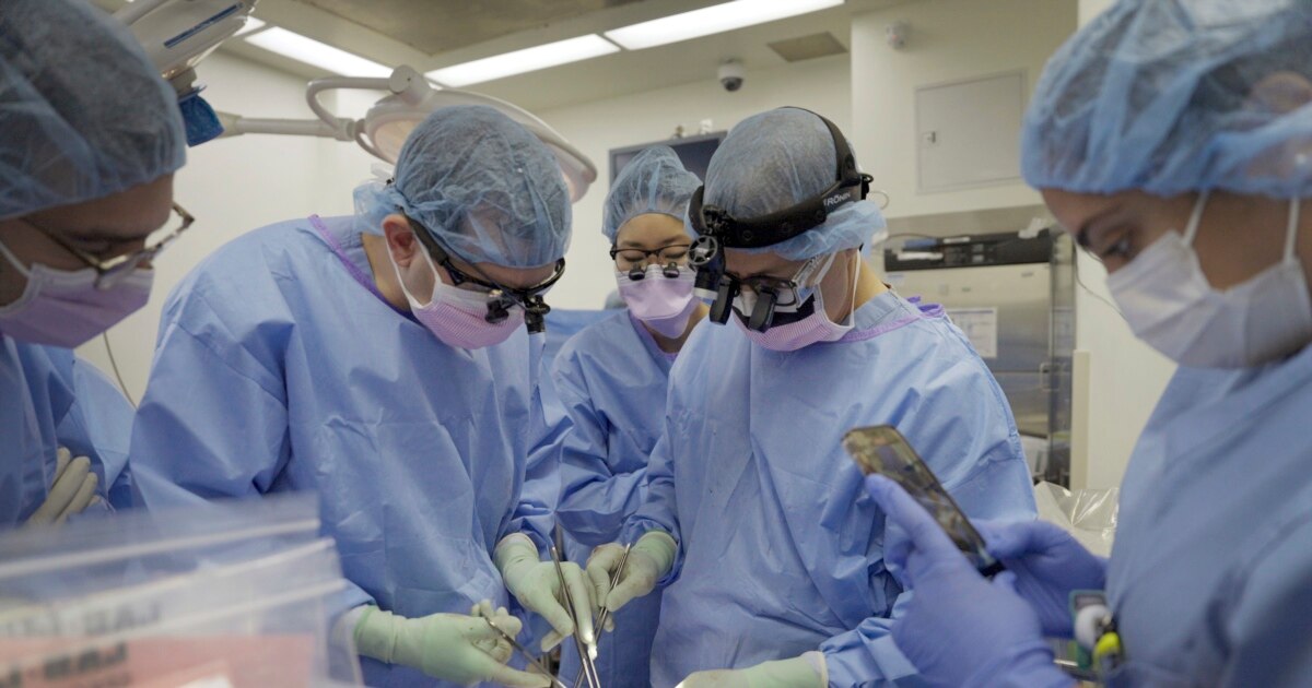 Pasyan ki Te Resevwa yon Grèf Ren Kochon an Mouri