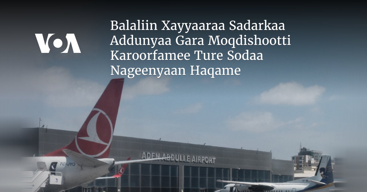 Balaliin Xayyaaraa Sadarkaa Addunyaa Gara Moqdishootti Karoorfamee Ture ...