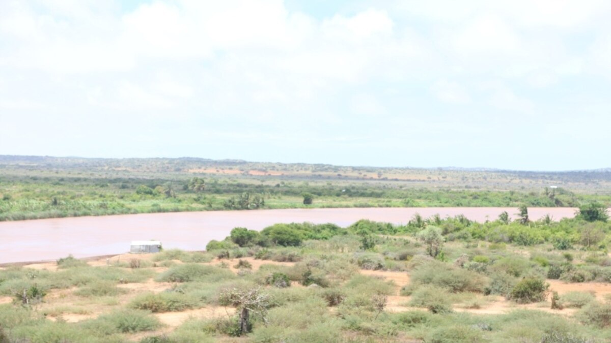 Wabiga Jubba oo ku fatahay dhul-beereed