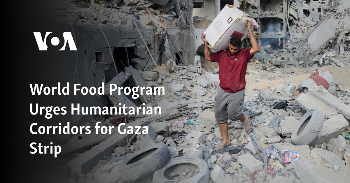 World Food Program Urges Humanitarian Corridors for Gaza Strip