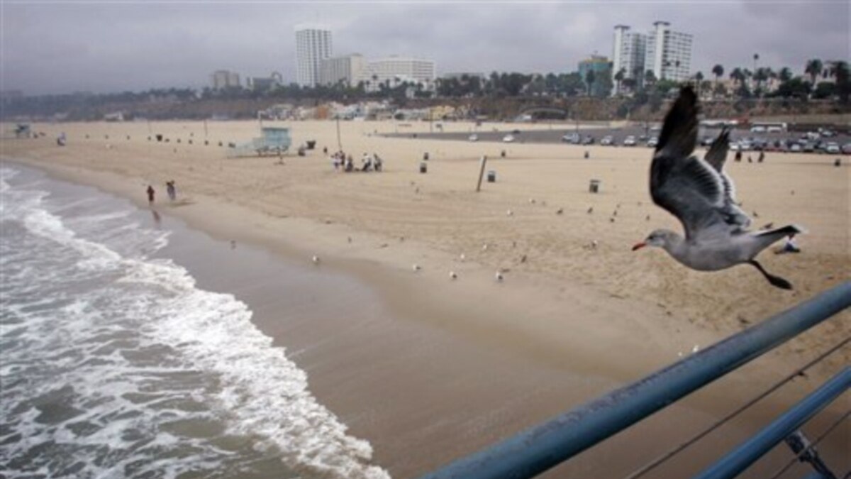 California's 'Silicon Beach' Draws Tech Start-Ups