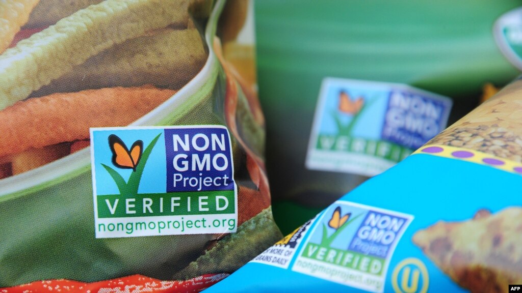 US Scientists Say Genetically Engineered Foods Are Safe