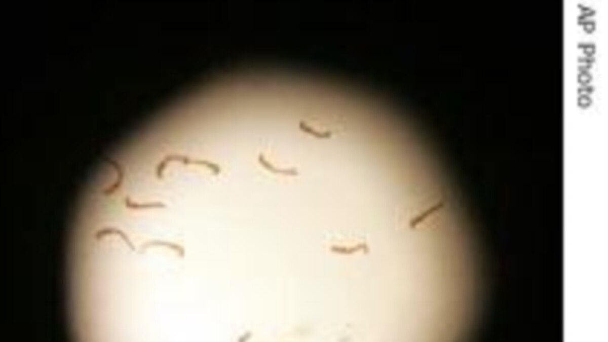 Millions Could be Spared Disfiguring, Crippling Diseases with Small ...