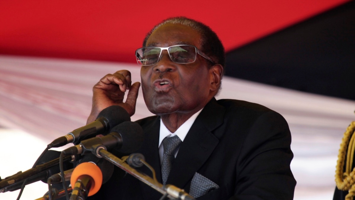 Interview With Arnold Tsunga on Zimbabwe Situation