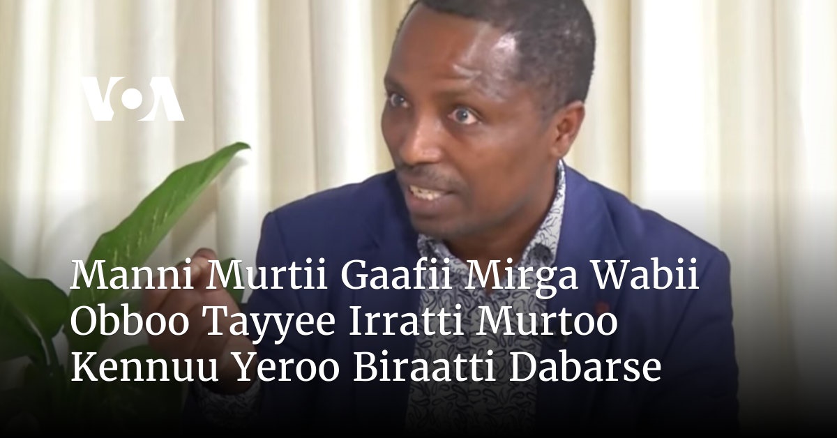 Manni Murtii Gaafii Mirga Wabii Obboo Tayyee Irratti Murtoo Kennuu ...