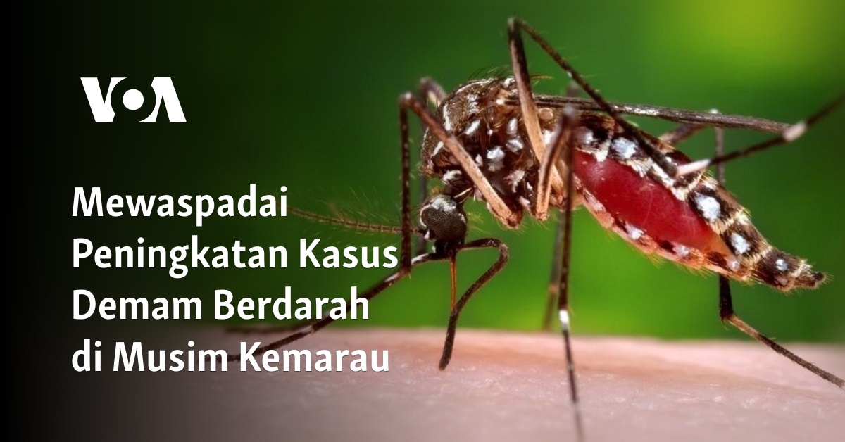 Mewaspadai Peningkatan Kasus Demam Berdarah di Musim Kemarau