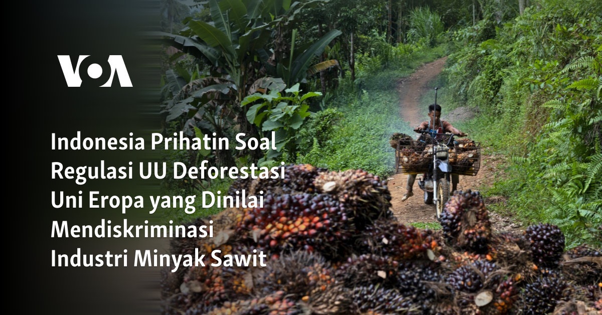 Indonesia Prihatin Soal Regulasi UU Deforestasi Uni Eropa yang Dinilai ...