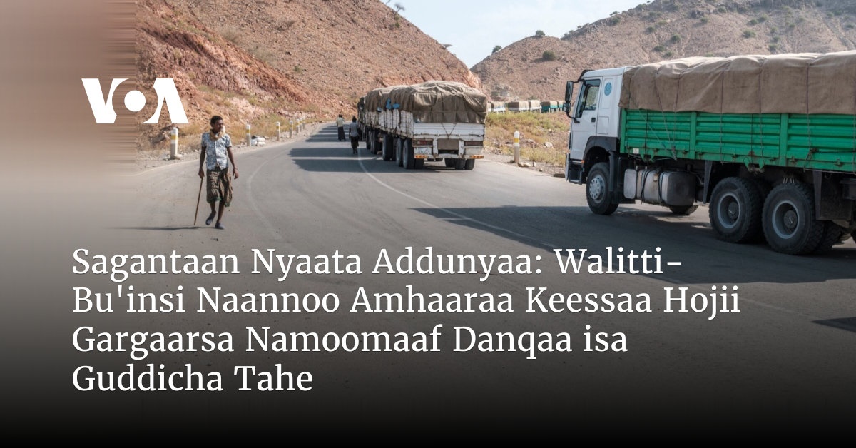 Sagantaan Nyaata Addunyaa: Walitti-Bu'insi Naannoo Amhaaraa Keessaa ...