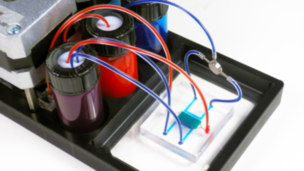 Scientists Put Living Human Tissue on Silicon Chip