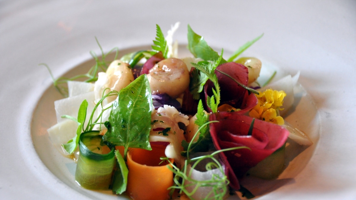 The World's Latest Healthiest Diet