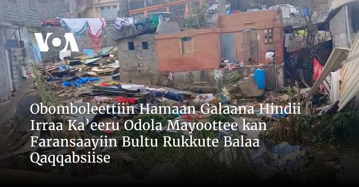 Obomboleettiin Hamaan Galaana Hindii Irraa Ka’eeru Odola Mayoottee kan ...