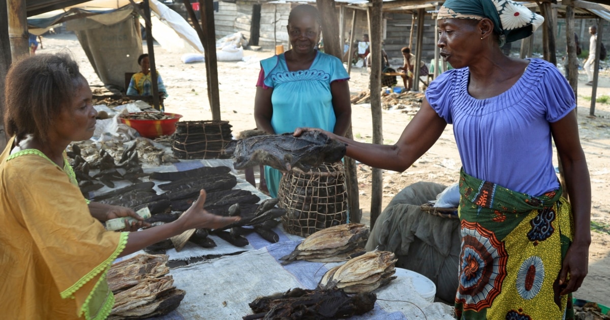 Congo's Ebola Outbreak Poses Challenges for Bush Meat