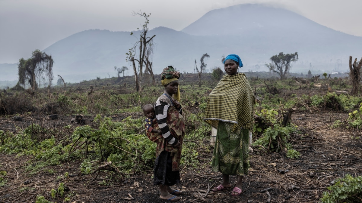 Dans l'est de la RDC, déplacés de guerre, miliciens et déforestation Dans l'est de la RDC, déplacés de guerre, miliciens et déforestation