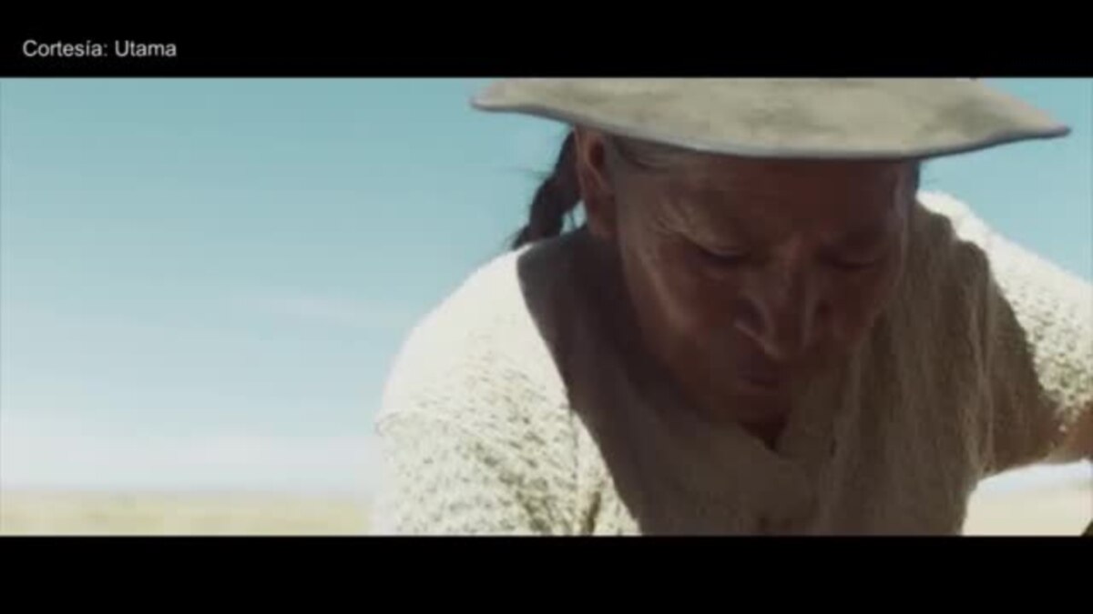 Una historia de amor y la crisis climática en un galardonado filme ...