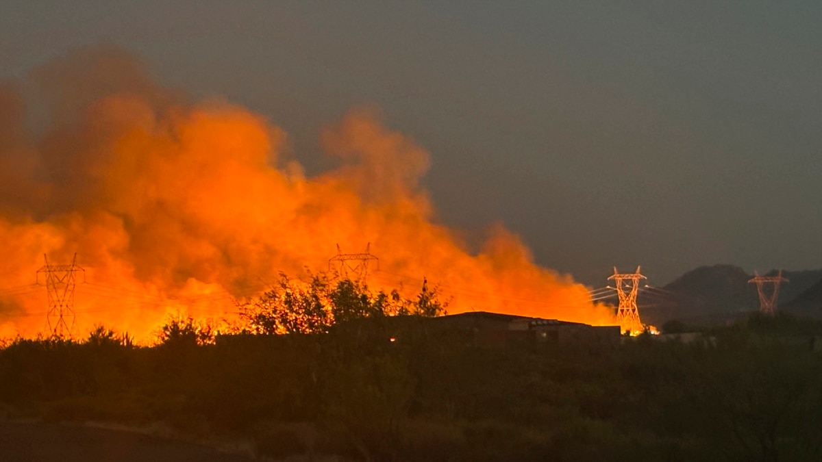 Los Países De América Latina Más Afectados Por Los Incendios Forestales