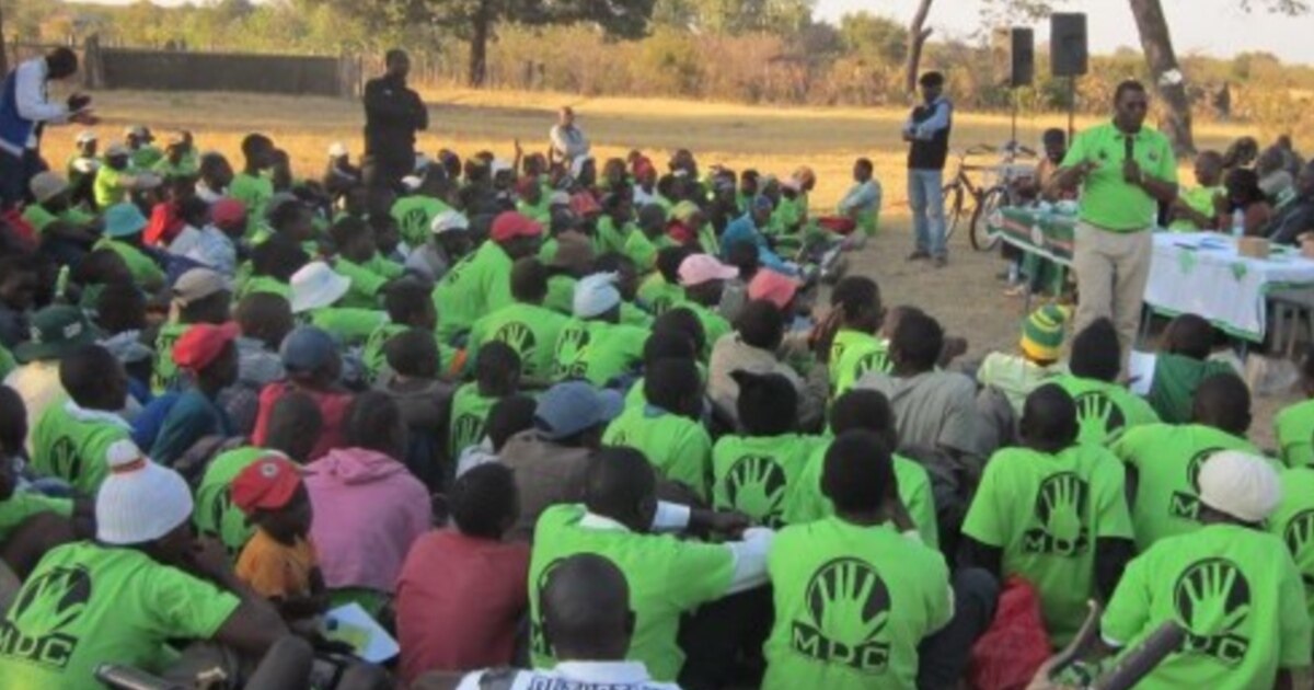 Professor Ncube: Zimbabwe Better Off Without Government